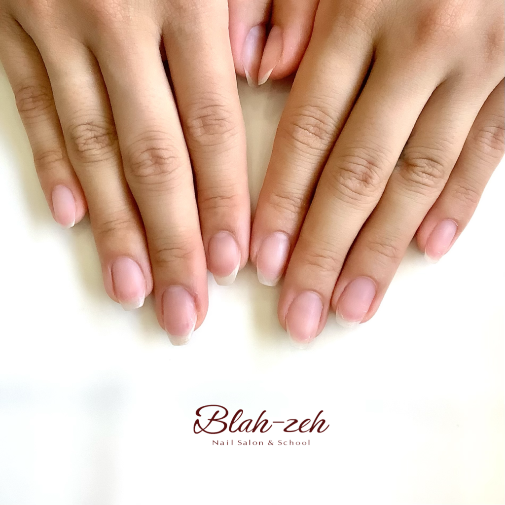 Blog | Blah-zeh （ブラゼ）